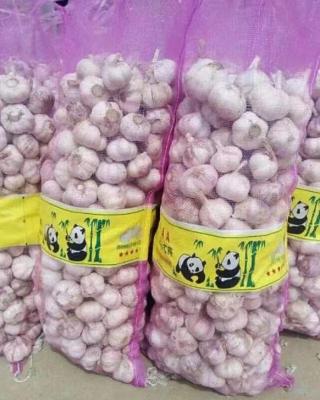China Fresh Onion Garlic Packaging Net Bags For Fruit & Vegetable for sale