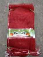 China Plastic Mesh Netting Bags For Packing Onions Garlic Potato for sale