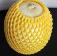 China Netting Sleeve For Fruit Protective Apple Net Pear Packing for sale