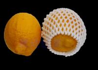 China Netting Sleeve For Fruit Protective Apple Net Pear Packing for sale