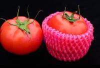 China Fruit Foam Net Single Layer For Papaya Protective Packing for sale