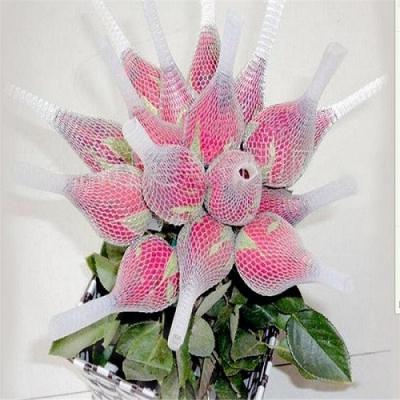 China Polyethylene Mesh Sleeves Protective Mesh Netting Rose Net Cover Food Grade for sale