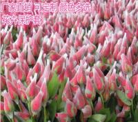 China Mesh Packaging Sleeves White PE Extruded Rose Protection Bud Net for sale