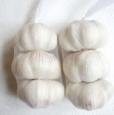China Knotless Extruded Net Packaging Bags Non Toxic Material High Tensil Strength for sale
