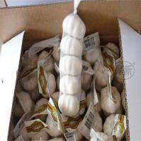 China Knotless Extruded Net Packaging Bags Non Toxic Material High Tensil Strength for sale