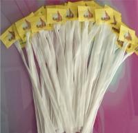 China Kiwi Fruit Mesh Netting Bags PE Material 80 Mesh UV Resistance 5-8 Years Lifespan for sale
