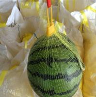 China Flexible Mesh Netting Bags Non - Toxic Good Extensibility For Watermelon for sale