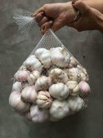 China Packaging Mesh Net Bags 80 Mesh 35m Length 5-8 Years Lifespan For Garlic / Ginger for sale