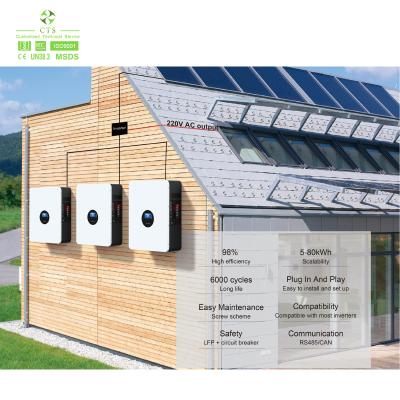 China 48V 51.2V 100Ah 200Ah 300Ah 400Ah Options From 5kWh to 20kWh Lithium Lifepo4 Back Batteries Units for sale