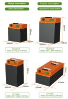 China CTS Custom 60V 50Ah LiFePO4 Lithium Battery Pack for Urban Delivery E-bike OEM ODM with CAN/RS485 for sale