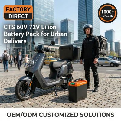 China CTS Custom 60V 50Ah LiFePO4 Lithium Battery Pack for Urban Delivery E-bike OEM ODM with CAN/RS485 for sale