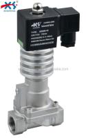 China SS304/Brass High Temperature Solenoid Valve Standard Normally Closed XSGW Series 2 Way for sale