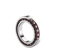 China 65mm Angular Contact Ball Bearings 7313AC P5 P4 P2 V1 V2 V3 V4 High Precision Low Noise for sale