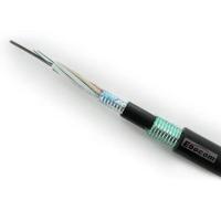 China GYTS53 Direct Buried Optical Cable 48 core Layer-Stranded LAN communication for sale