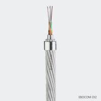 China OPGW-48B1-100 118.8;66.2 Ground Wire Cable  48 72 288 Core For Tower Comuni infrastruction for sale