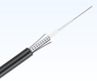 China Outdoor  GYXTW cable Light-Armored 2 4 6 8 10 12 14 Core for Internet installation for sale