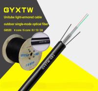 China G652D GYXTW 24 Core Armored Outdoor Optical Cable Central Loose Tube Steel Wire Strength Member PE Sheath for Direct Buried Use for sale