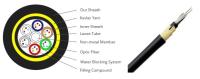 China All Dielectric Self Supporting Fiber Optic ADSS Cable 48 96 Core for Networking for sale