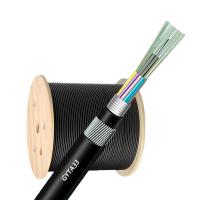 China Durable Waterproof GYTA 48 Core Loose Tube Armored Cable with Aluminum Tape Protection for Duct Installation for sale