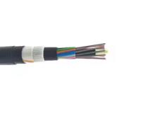 China Rodent-Proof Flat FRP Armored Outdoor Fiber Cable With Dual Jacket for sale