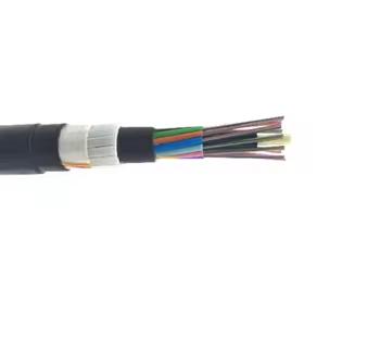 China Rodent-Proof Flat FRP Armored Outdoor Fiber Cable With Dual Jacket for sale