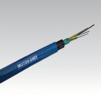 China MGTSV 48 Core Mining Fiber Optic Cable with Flame Retardant Sheath and Steel Tape Armor for sale