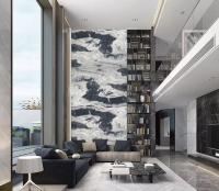 China Brazil Black Gray and White Marble Natural Luxury Stone for Feature Walls and Luxury Flooring Applications for sale