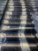 China Brazil Black Gray and White Marble Natural Luxury Stone for Feature Walls and Luxury Flooring Applications for sale