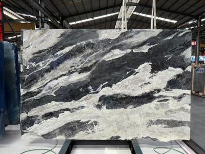 China Brazil Black Gray and White Marble Natural Luxury Stone for Feature Walls and Luxury Flooring Applications for sale