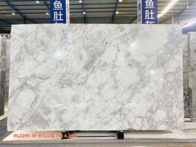 China Brazilian Fish Belly Grey Marble Luxury Stone Book-match Background Feature Wall Luxurious Flooring Stone for sale