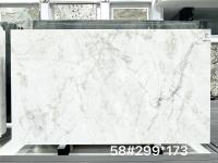 China Namibia Oyster Ehite White Marble Slab Customized With Modern Design Style for sale