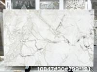 China Namibia Oyster Ehite White Marble Slab Customized With Modern Design Style for sale