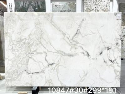 China Namibia Oyster Ehite White Marble Slab Customized With Modern Design Style for sale