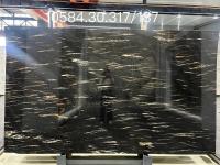 China Brazilian Black Gold Marble Polished Abrasion Resistant For Flooring Applications for sale