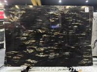 China Brazilian Black Gold Marble Polished Abrasion Resistant For Flooring Applications for sale