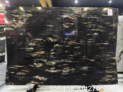 China Brazilian Black Gold Marble Polished Abrasion Resistant For Flooring Applications for sale