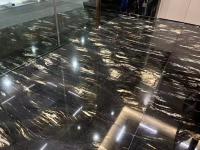 China Brazilian Black Gold Marble Polished Abrasion Resistant For Flooring Applications for sale