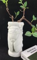 China White Stone Flower Vase Polished Decorative With Waterproof Liners for sale
