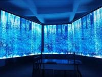 China Lionled P2.6-5.2 Indoor Transparent LED Display For Glass Windows For Shop/Advertising for sale