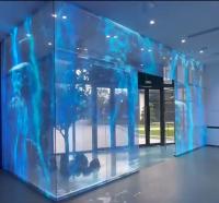 China LionLED P4-8 Indoor Flexible Transparent LED Display For Glass Windows Shop/Advertising for sale