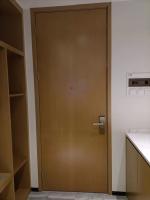 China OEM Service E1 Grade Plywood Door Panel Internal Bedroom Doors Flat for sale
