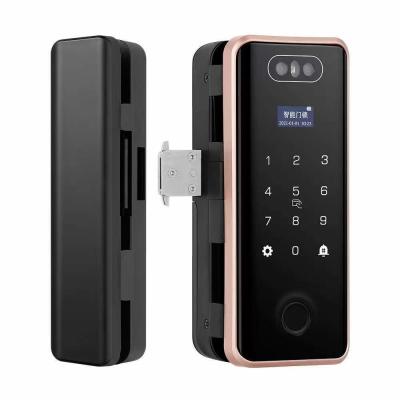 China G5S Face Recognition Fingerprint Card Passcode Electronic Glass Door Lock for Office for sale