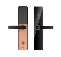 China Office Biometric Fingerprint Password Key Card WIFI BLE Intelligent Door Lock Qleung S819 for sale