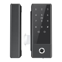 China Gold G10S Glass Lock with Tuya app ttlock app Unlock way fingerprint/password/card/key for sale