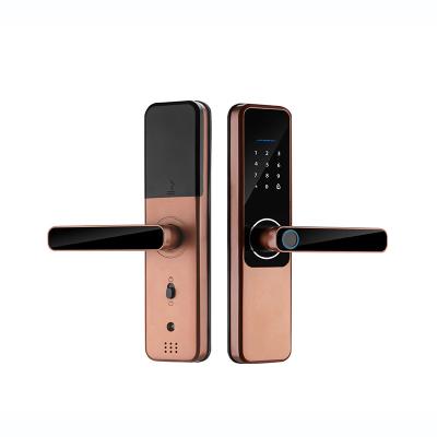 China Unlock Method Tuya TTlock Password Fingerprint Smart Locks For Home for sale