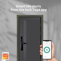 China Steel Door Wifi Fingerprint Lock S819-2 Digital Password Lock For Apartment for sale