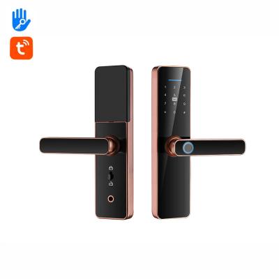 China Intelligent Password Fingerprint Door Lock TTlock Auto Door Locks For Home for sale
