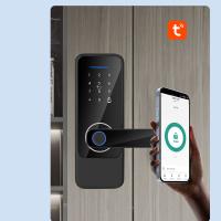 China Tuya App Electronic Password Lock Wifi Biometric Door Lock For Home for sale