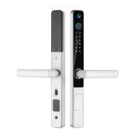 China Silver Camera Door Lock IP65 Advanced Intelligent Door Lock for sale