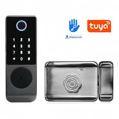 China Waterproof Rim Lock TTlock Tuya Controlled Door Lock for sale